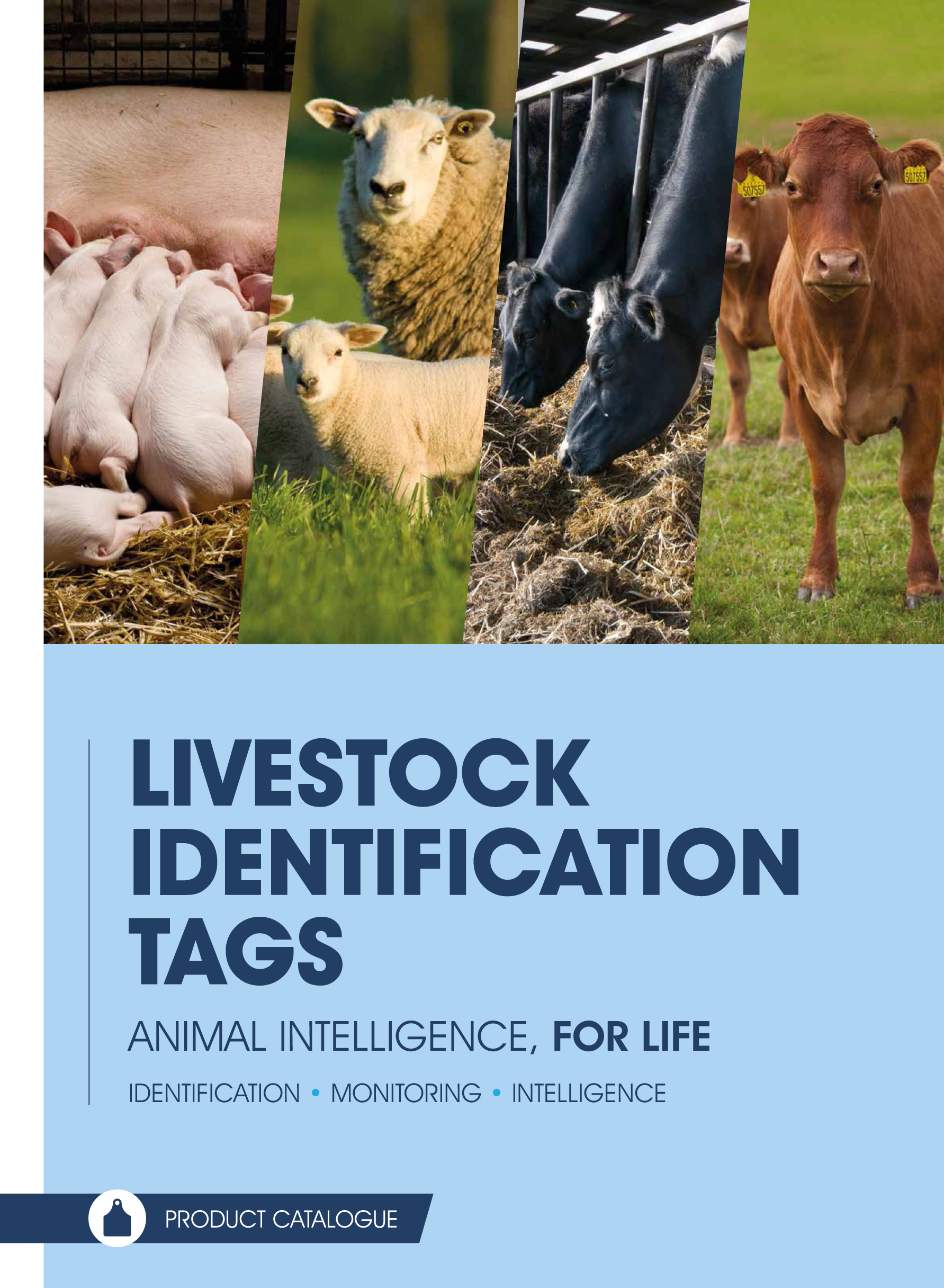 Livestock ID and tagging guide offers valuable herd and flock ...