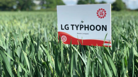 Limagrain's LG Typhoon makes the AHDB Recommended List | Farm ...