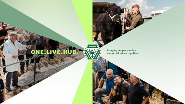 New market prices platform goes live | Farm Contractor & Large Scale Farmer